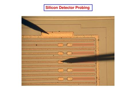 Ppt Silicon Microstrip Detector Powerpoint Presentation Free