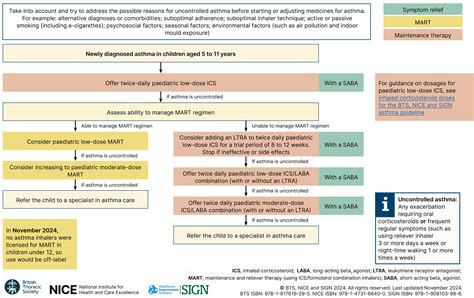 What Does The New Btsnicesign Asthma Guideline Mean For Primary Care