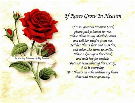 If Roses Grow In Heaven Mom In Heaven Birthday In Heaven Mom