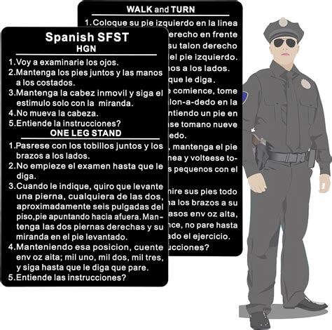 Velinpun 3 Pcs Spanish Sfst Hgn Card Standardized Field