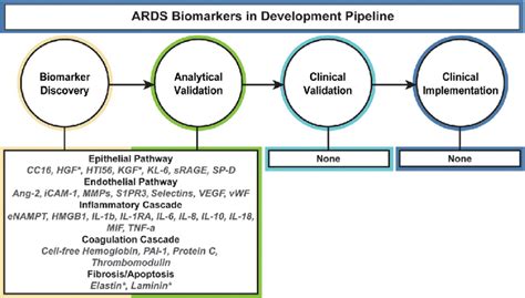 Ards Biomarkers In The Development Continuum The Majority Of The Download Scientific Diagram