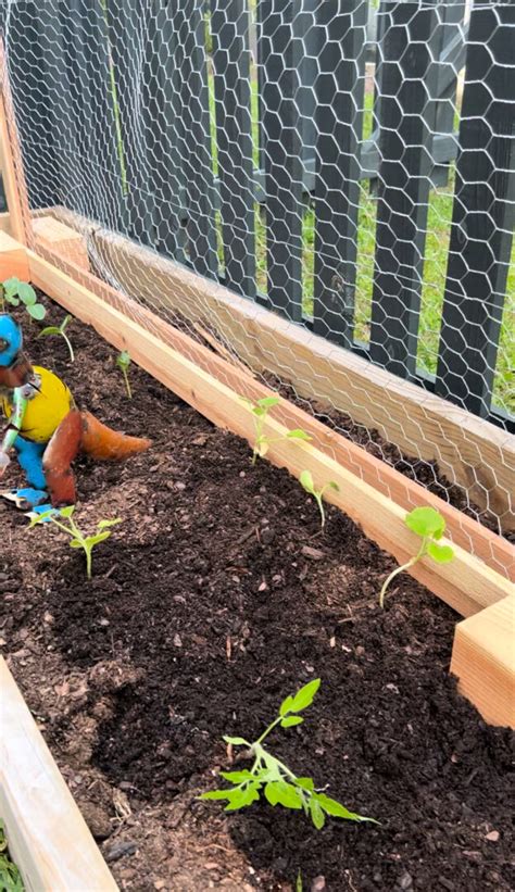 How To Build A Simple Wire Garden Trellis