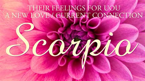 Scorpio Love Tarot ♏️ This Person Will Make An Effort Because They Love