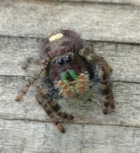 Bold Jumper By Cherokeegal1975 On Deviantart