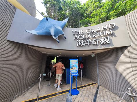 香港香港海洋公園不可錯過15個亮點搭列車重點動物互動光影秀遊玩攻略看這篇 輕旅行
