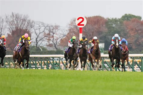 【ジャパンc】イクイノックスがgⅠ6連勝達成 Moment日刊ゲンダイ