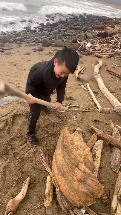 20250125小男孩的砍柴夢？😂 Youtube