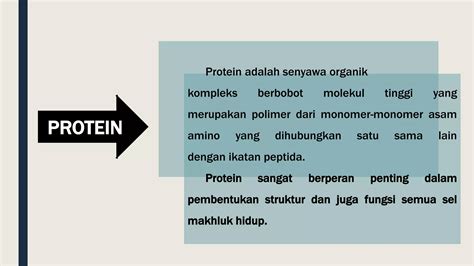 PPT PROTEIN PPTX
