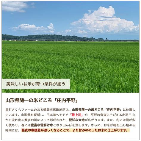 令和6年度産米 特別栽培米（減農薬・減化学肥料）山形県産 つや姫 精米20kg（5kg×4袋）有限会社馬町さくらファーム送料無料 06