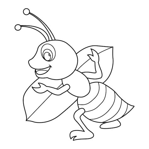 Premium Vector Ant Outline Vector Cartoon Design On White Background
