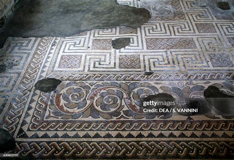 Floor Mosaic Ruins Of Chedworth Roman Villa Gloucestershire News