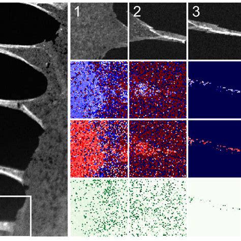 Overview Haadf Stem Image And Strain Maps Of A Sample Area Containing