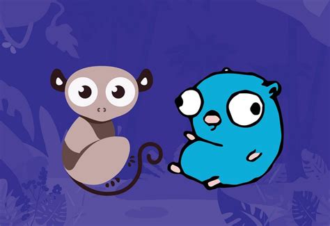 Niroshan Rajadurai On Linkedin Golang Lgtm Applicationsecurity