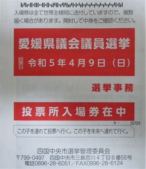 投票所入場券 ササヤン Jr5arkの日記