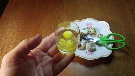 Ножницы для яиц: 85 фото и видео инструкция по использованию кухонных ...
