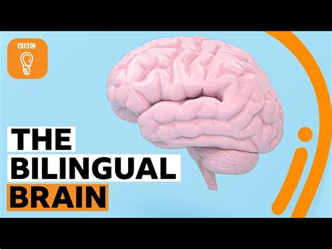 Why Being Bilingual Is Good For Your English Esl Video Lessons