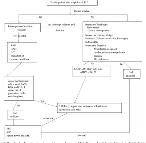 Figure 1 From Sepsis Associated Encephalopathy Semantic Scholar