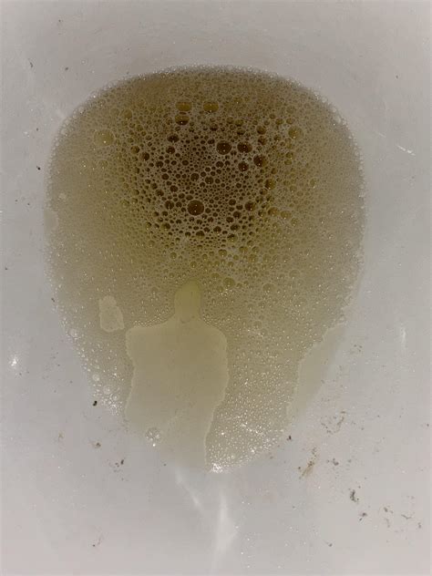 42 Best Rfoamyurine Images On Pholder Foaming Championship