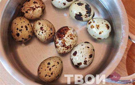 Салат Нисуаз - вкусный рецепт с пошаговым фото