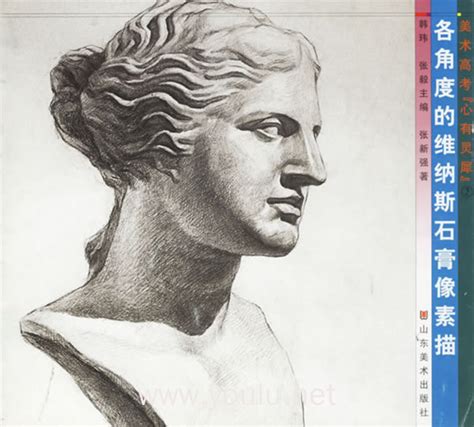 素描头像维纳斯维纳斯雕塑头像 伤感说说吧