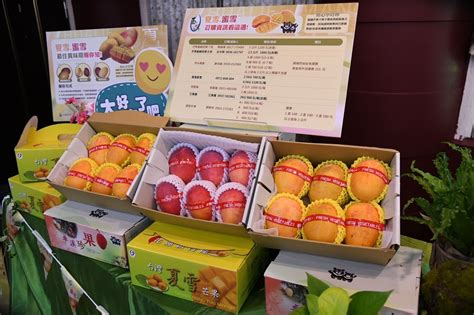花蓮卓溪鄉lv芒果強勢回歸 世豐電力搶先下訂750箱 蕃新聞