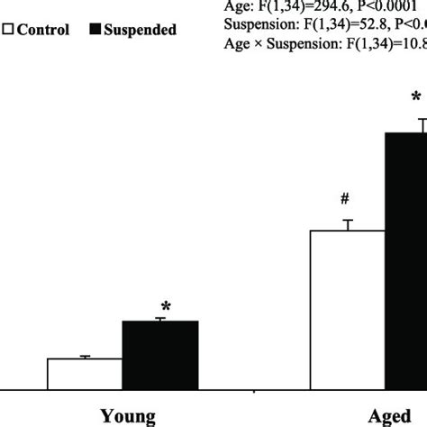 Apoptotic Dna Fragmentation The Extent Of Apoptotic Dna Fragmentation Download Scientific