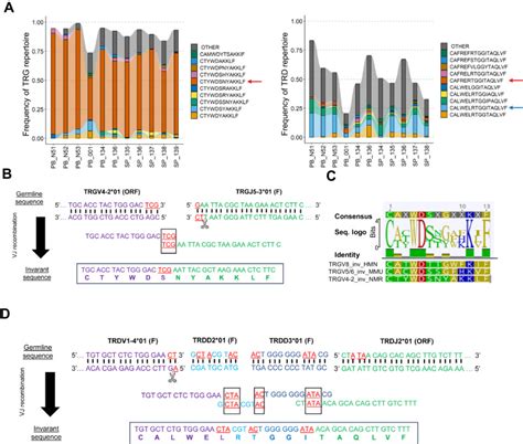 Invariant γδTCR natural killer like effector T cells in the naked mole