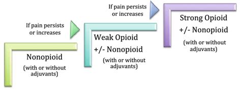 The World Health Organization Who Three Step Analgesic Ladder For