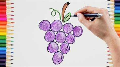 كيفية رسم صورة رسم العنب للأطفال طريقة سهلة تعليم للأطفال الرسم