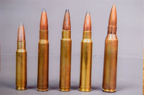 The 338 Federal Never Became Popular Sporting Shooter