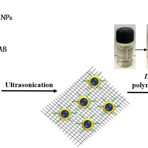 Schematic Representation For The Synthesis Of Pdpanio Nanocomposites