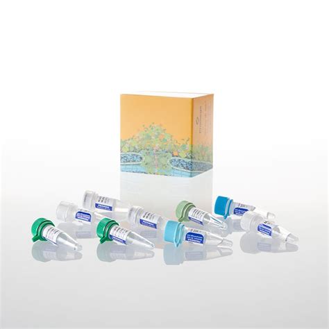 GoScript Reverse Transcription System A5001 East Port Praha