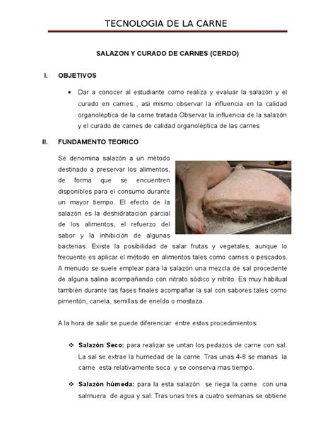 Carnes 2 Lab Pdf Curado Conservación De Alimentos Sal