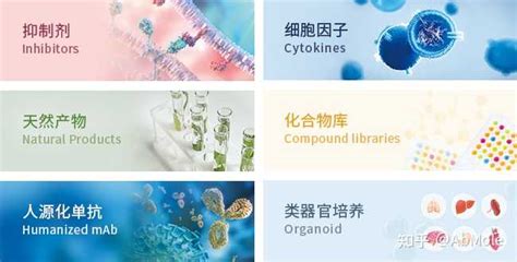 如何刺激细胞发生坏死性凋亡 知乎