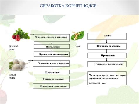 Приготовление и подготовка к реализации полуфабрикатов из овощей
