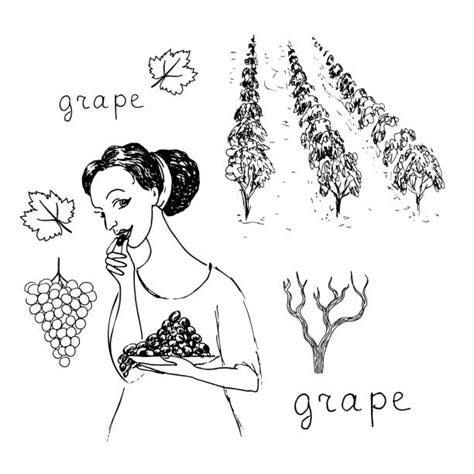 30 Vineyard Girl Stock Illustrations Royalty Free Vector Graphics