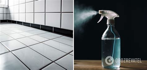 Чим відмити плісняву у ванній і на кухні лайфхак Oboz Ua