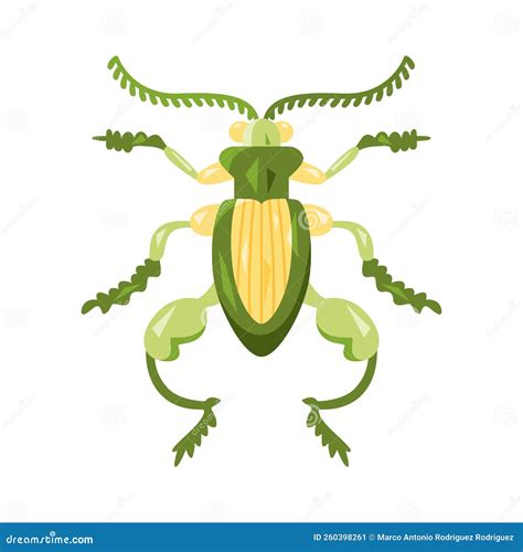 Isolated Colored Cricket Bug Icon With Details Vector Stock Vector