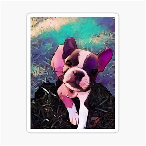 Dog Graphic Drawing Sticker For Sale By Iyrik Redbubble