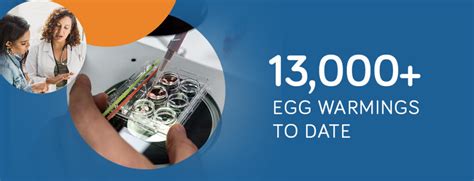 Donor Egg Bank Usa™ A Leader In Frozen Donor Egg And Building Families