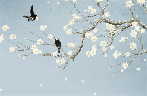 带宁字的女孩有寓意的好名字 宁字起名汇总 周易起名 国学梦