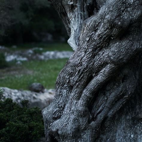 Appmodernization Continuousmodernization Architecturedesign