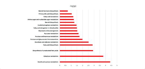 Pathway Enrichment Analysis Of Different Metabolites X Axis Log 10