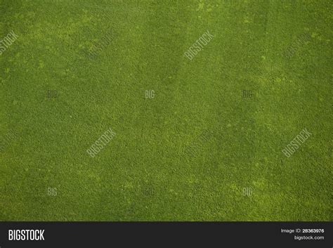 Natural Grass Texture Aerial View Image And Photo Bigstock