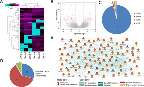 Differential Expression Of Circrnas In Crc Tissues A Hierarchical