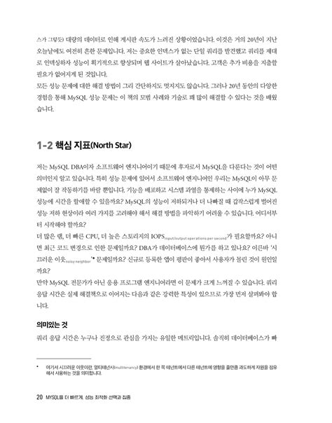 알라딘 미리보기 Mysql을 더 빠르게 성능 최적화 선택과 집중