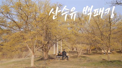 원적산 백패킹 퇴근박하고 이천 산수유마을에서 꽃구경 Youtube