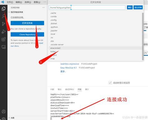 针对实验室服务器的使用问题【安装anacondavscode连接jupyther远程连接】 Csdn博客