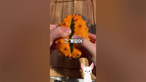 가짜 바람의 나라를 하던 사촌형 Youtube