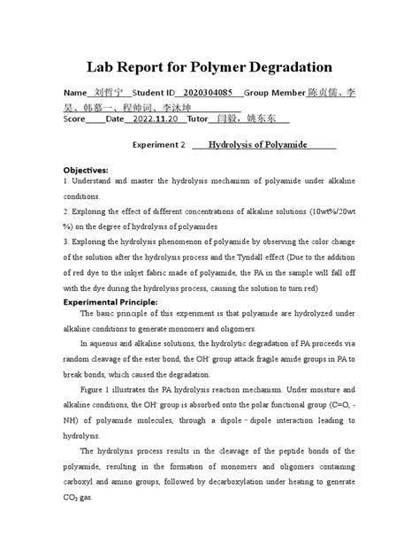 Lab Report 2 Pdf Hydrolysis Chemistry